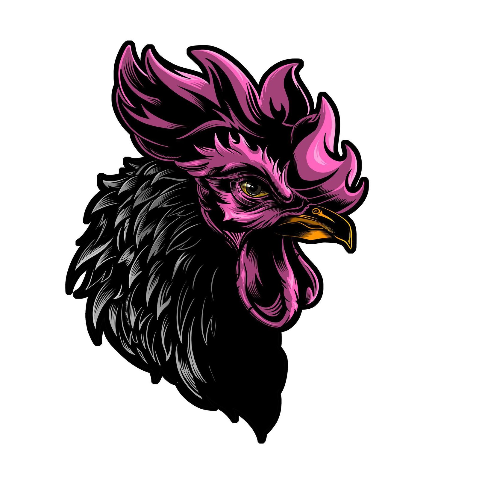 Gallo Negro - MundoCamba.com